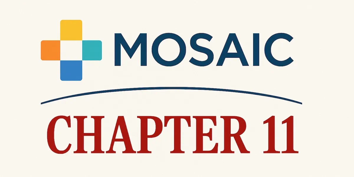 Case Summary: Mosaic Chapter 11