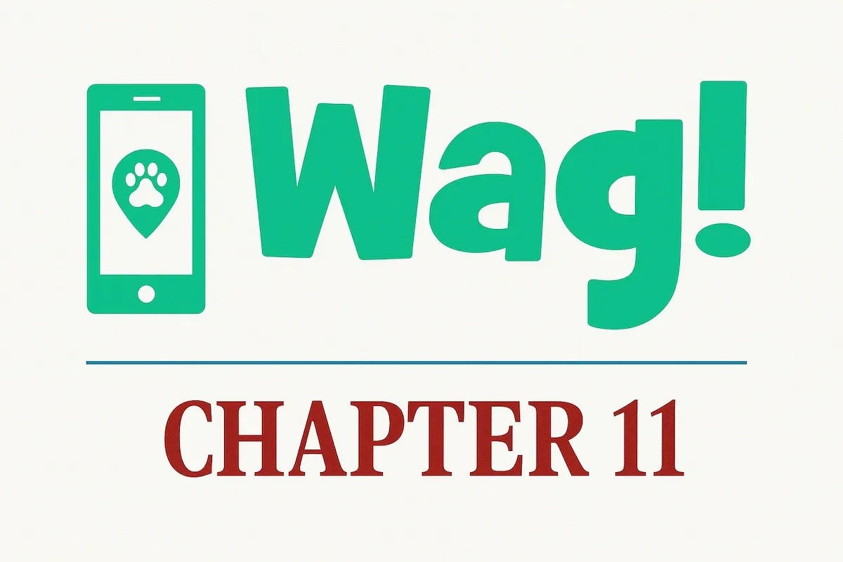Case Summary: Wag! Chapter 11