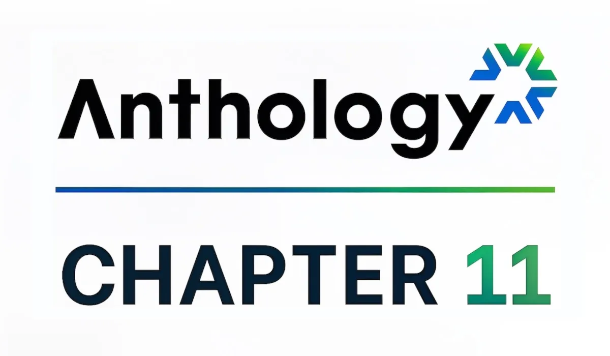 Case Summary: Anthology Chapter 11