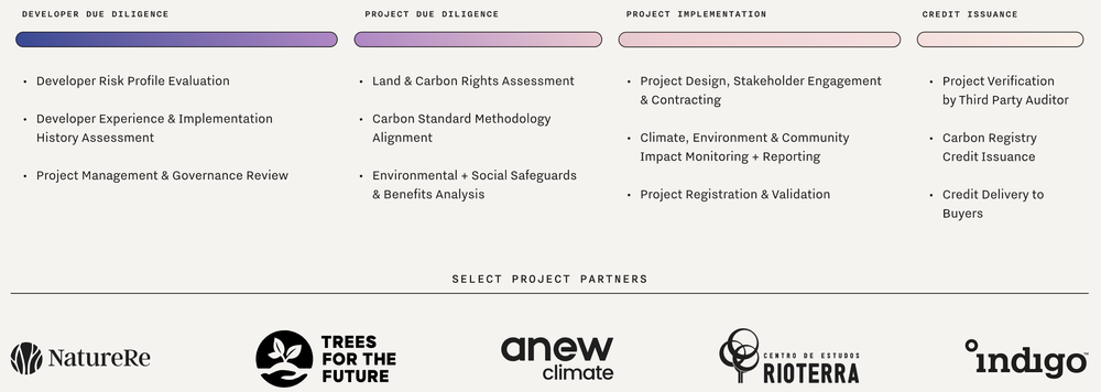 Case Summary: Catona Climate Chapter 11