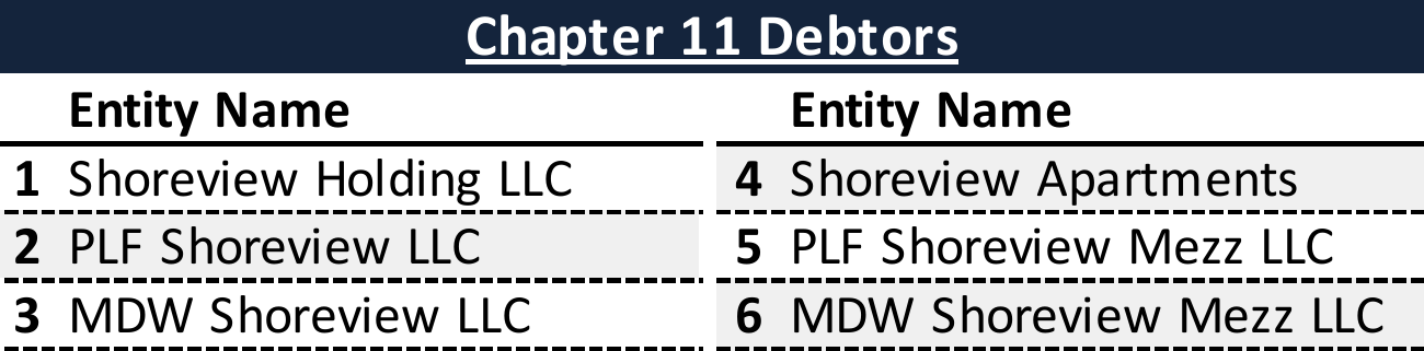 Filing Alert: Shoreview Holding Chapter 11