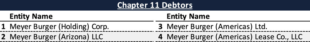 Filing Alert: Meyer Burger Chapter 11