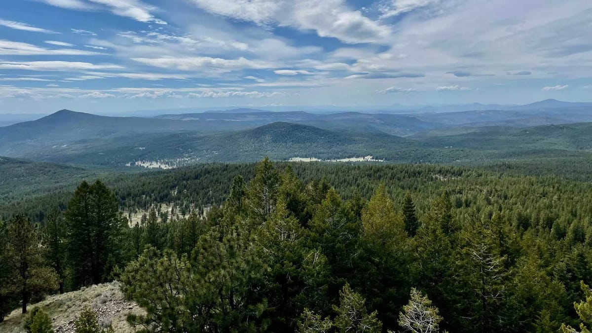 Case Summary: Scanrock Oil & Gas Chapter 11