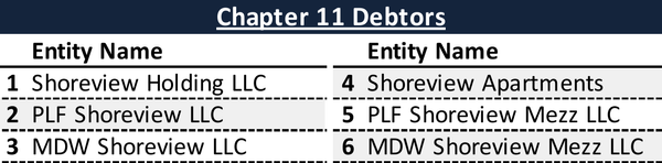 Filing Alert: Shoreview Holding Chapter 11