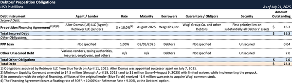 Case Summary: Wag! Chapter 11